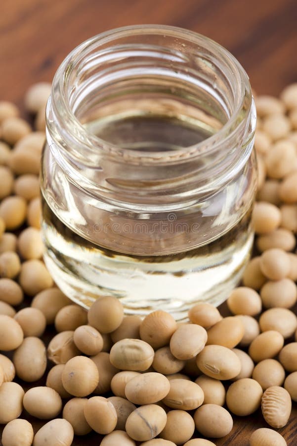 Soy beans and oil stock image. Image of plant, fresh - 46538909