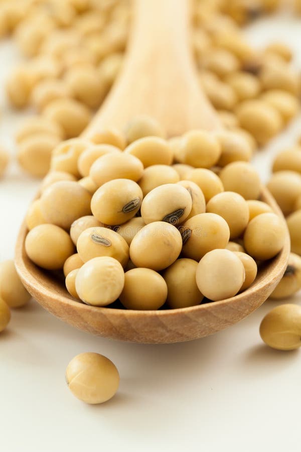Soy beans stock image. Image of soybean, nutrition, seed - 35289875