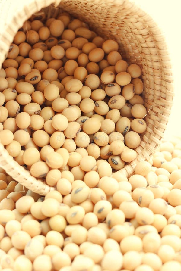 Soy beans stock photo. Image of spoon, national, healthy - 54101132
