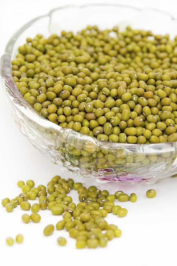 Soy stock image. Image of healthy, asian, agriculture - 32026785