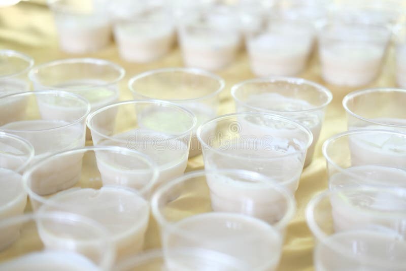 Soy Milk Pudding in Plastic Cup. Vegan Dessert Stock Photo - Image of ...