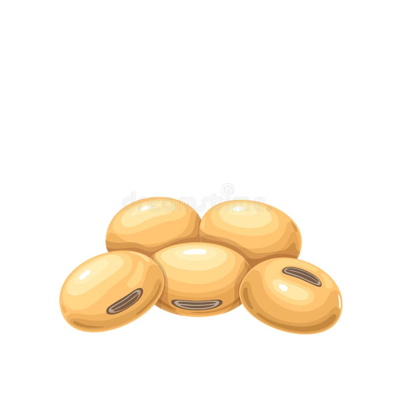 Soy nuts illustration stock vector. Illustration of carbohydrates ...