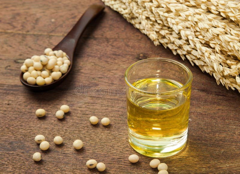 Soy oil and soy bean stock photo. Image of bottle, ingredient - 55669464