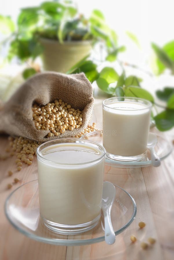 Soy Pudding stock photo. Image of pudding, gourmet, home - 37631194