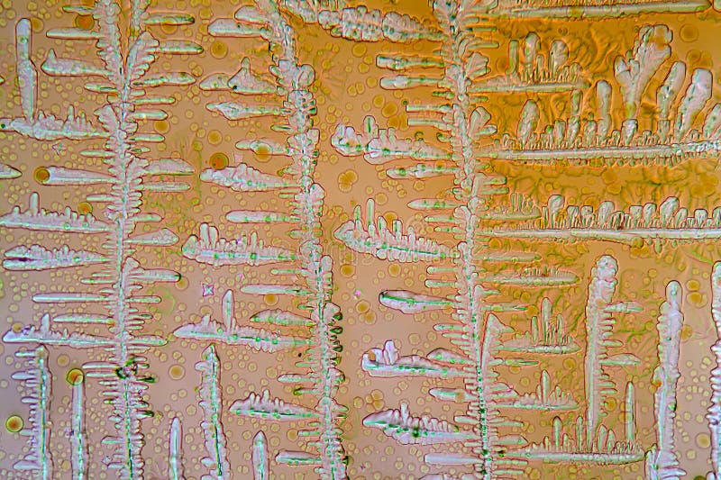 Soy Sauce Under the Microscope Stock Photo - Image of spice, light ...