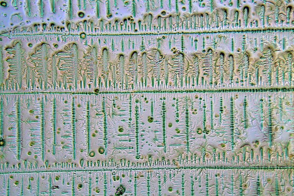 Soy Sauce Under the Microscope Stock Photo - Image of spice, light ...