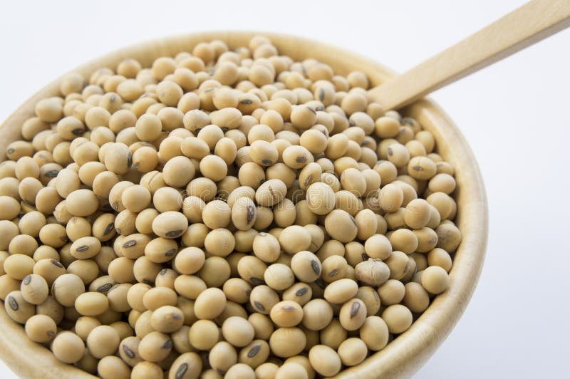Soy Soybean Closeup Vegetable Nutrition Soya Concept Stock Photo ...