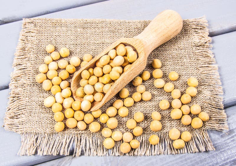 Soy - a Vegetable Source of Protein. Stock Photo - Image of food ...