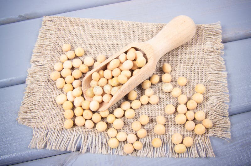 Soy - a Vegetable Source of Protein Stock Image - Image of natural ...