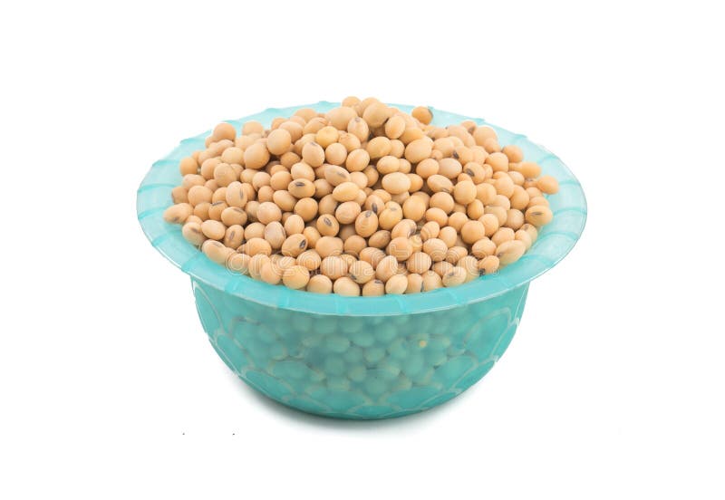 Soya Bean stock image. Image of soya, lentils, grain - 105741217