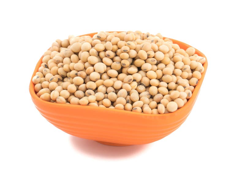 Soya Bean stock photo. Image of edible, closeup, lentils - 105741222