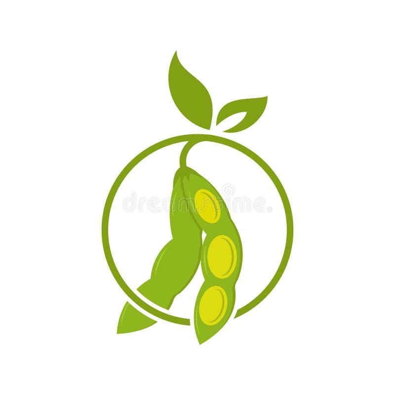 Soya Bean Design Element Vector Icon with Creative Modern Concept Stock ...