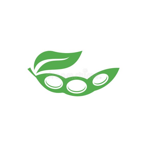 Soya Bean Design Element Vector Icon with Creative Modern Concept Stock ...