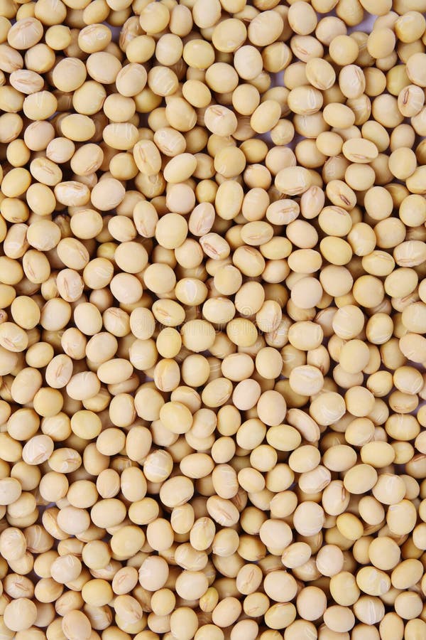 Soybeans in Black Container Stock Image - Image of healthy, organic: 558149
