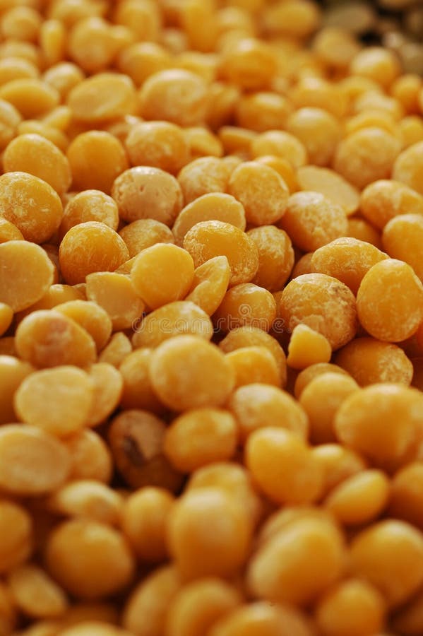 Soya beans stock image. Image of resource, legume, arranged - 5711521