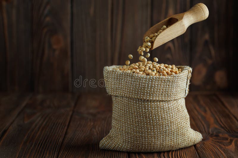 Soya Beans in Burlap Sack and Scoop on Table Stock Photo - Image of ...
