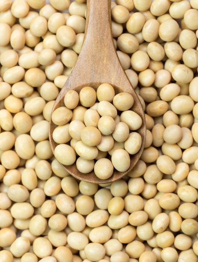 Soy Beans stock image. Image of vegetarian, close, soybeans - 11524285