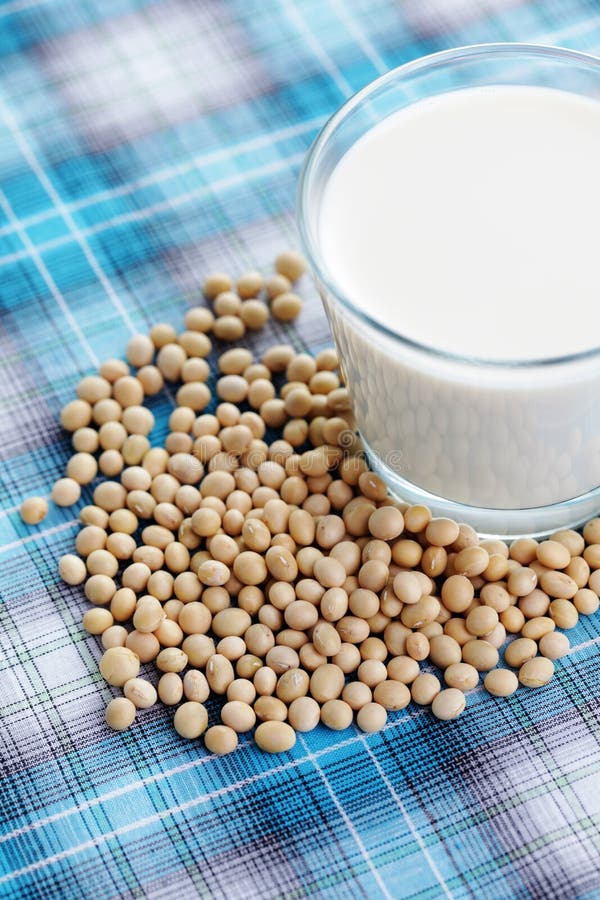 Soya milk stock photo. Image of soymilk, soyamilk, protein - 24765644
