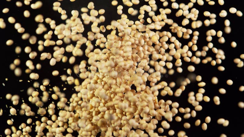 Soya Raw Pieces Hitting Up in the Air Stock Image - Image of flow, bean ...