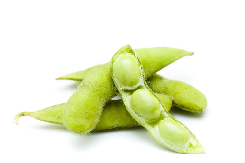 Soyabohnen stockbild. Bild von bestandteil, protein, getrennt - 13531099