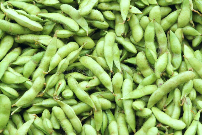 Soybean stock image. Image of aliment, beans, vegetable - 25895147