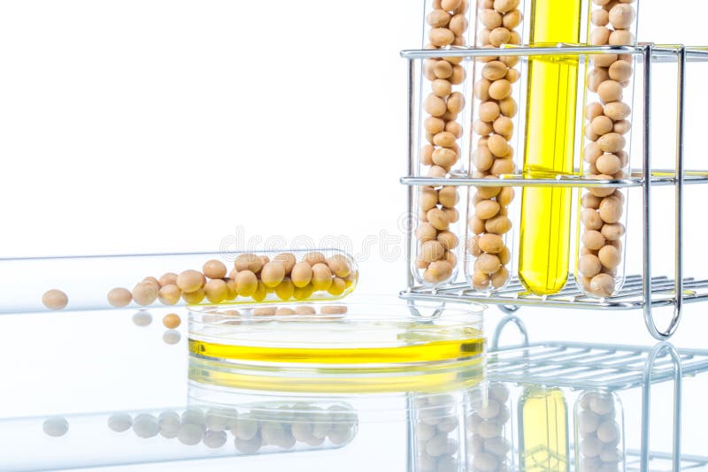 Soybean Genetically Modified, Plant Cell Stock Image - Image of ...