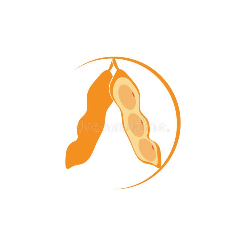 Soybean icon logo vector stock vector. Illustration of bean - 230882042