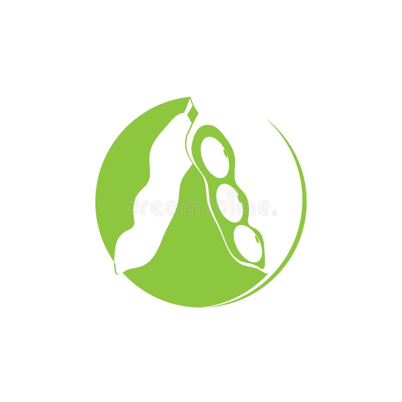 Soybean icon logo vector stock vector. Illustration of bean - 230882063