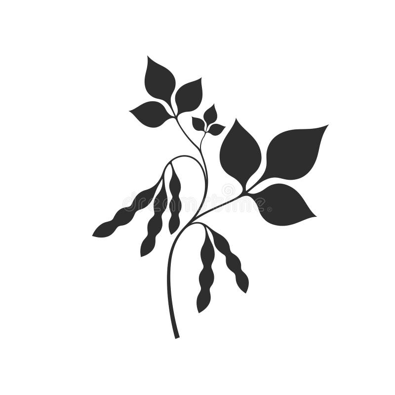 Soybean Stock Vector Illustration Of Plant Abstract 40891879