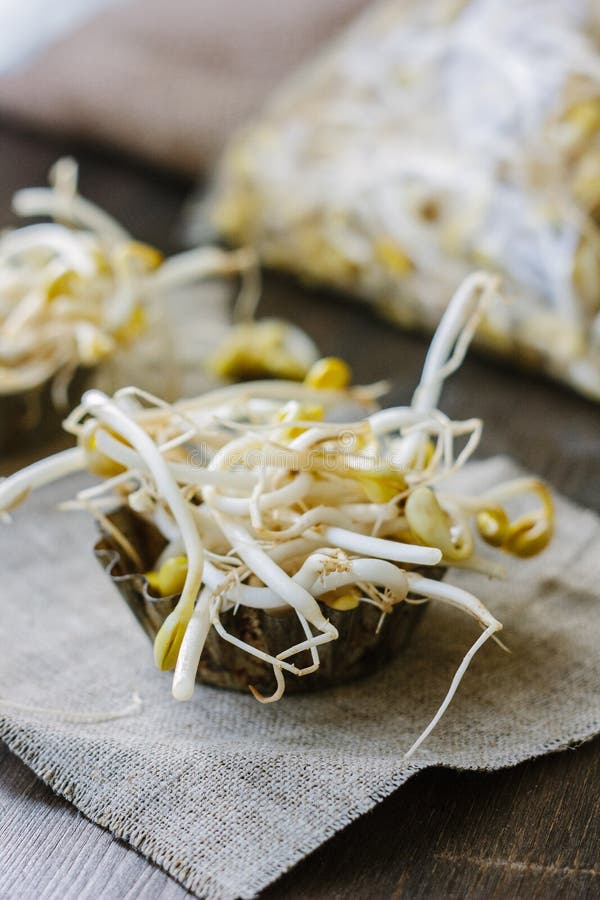Soybean Sprouts. Table with Soy Bean Sprouts on it. Stock Image - Image ...