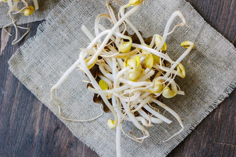 Soybean Sprouts. Table with Soy Bean Sprouts on it. Stock Photo - Image ...