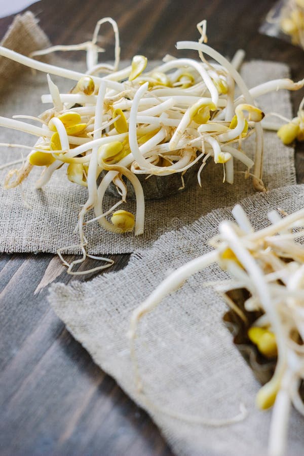 Soybean Sprouts. Table with Soy Bean Sprouts on it. Stock Photo - Image ...