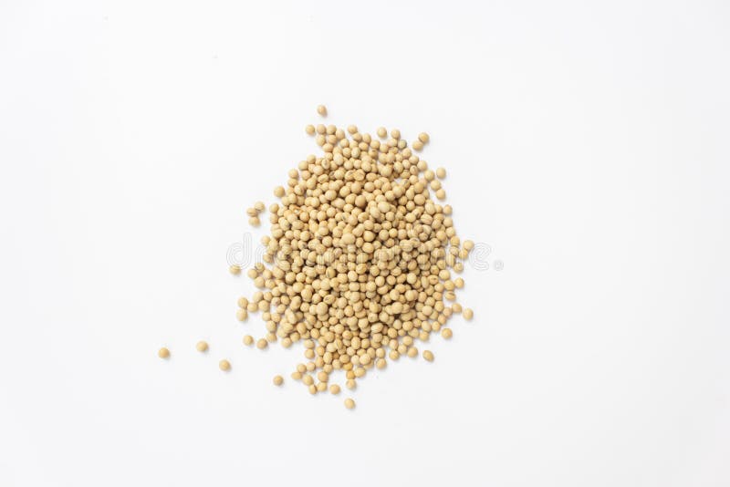 Soybean On A White Background Top View Stock Image Image Of Bean Grain 170094967