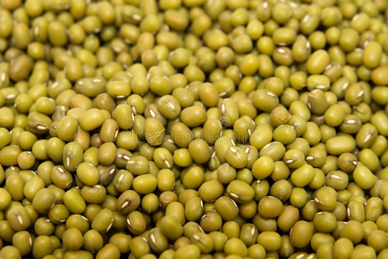 Soybeans stock image. Image of plant, color, packed, vitamin - 23411749
