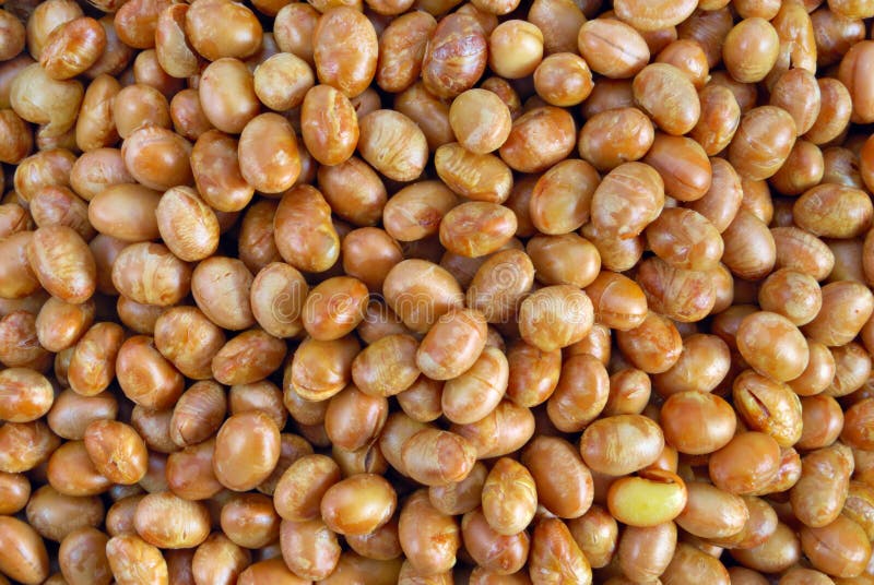 Soy Nuts stock image. Image of salted, snack, texture - 2182391