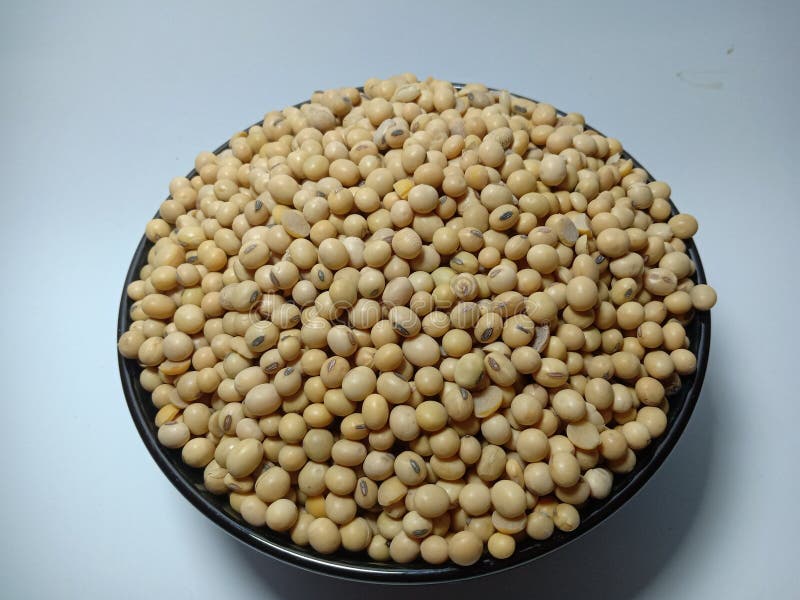 Soybeans are a Source of High Quality Vegetable Protein Stock Image ...