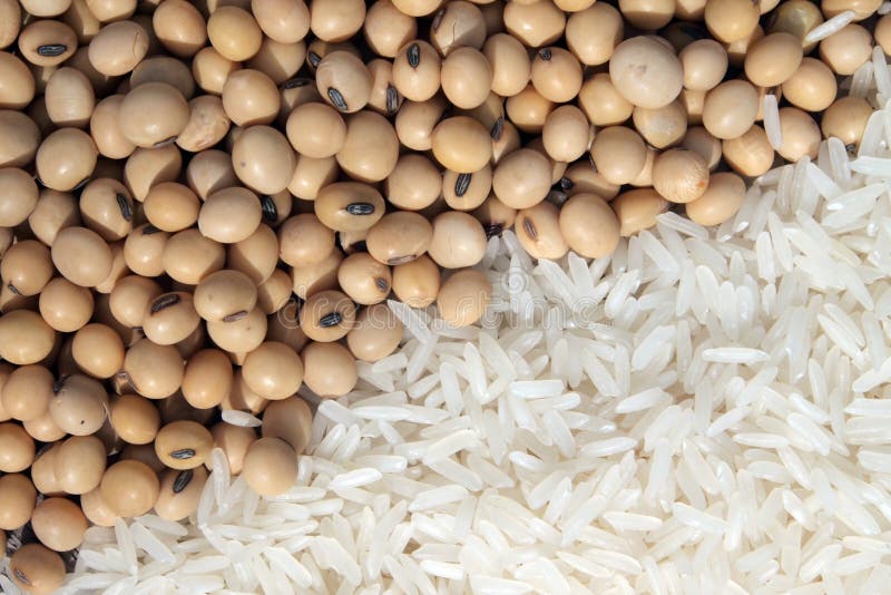 Soybeans and white rice stock photo. Image of cook, rice - 57096730