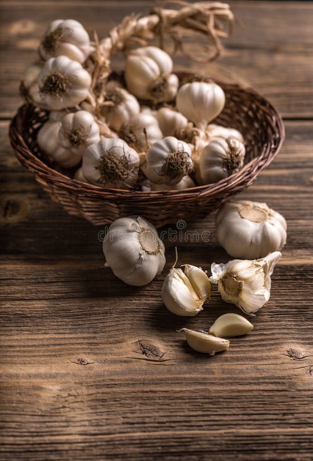 SP del allium imagen de archivo. Imagen de vendimia, aroma - 47041147