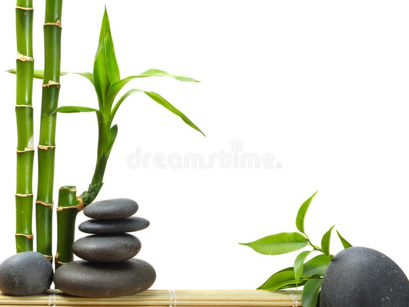 Spa stock image. Image of environmental, border, foliage - 10903617