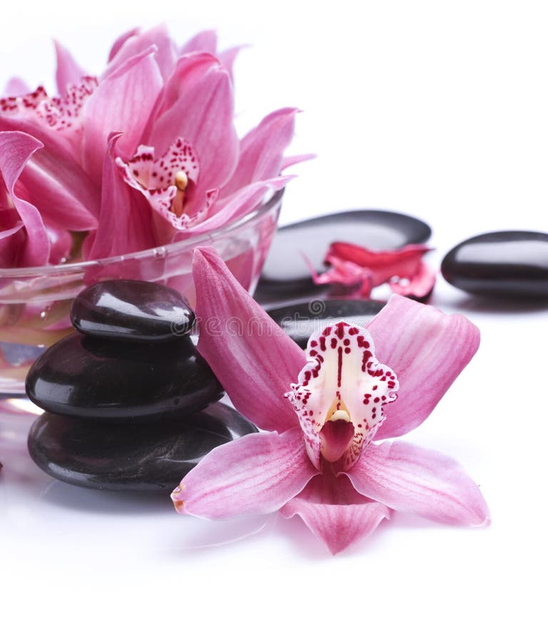 21,343 Spa Border Stock Photos - Free & Royalty-Free Stock Photos from ...