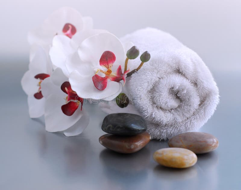 Wellness zen and spa stock photo. Image of aromatherapy - 10848374