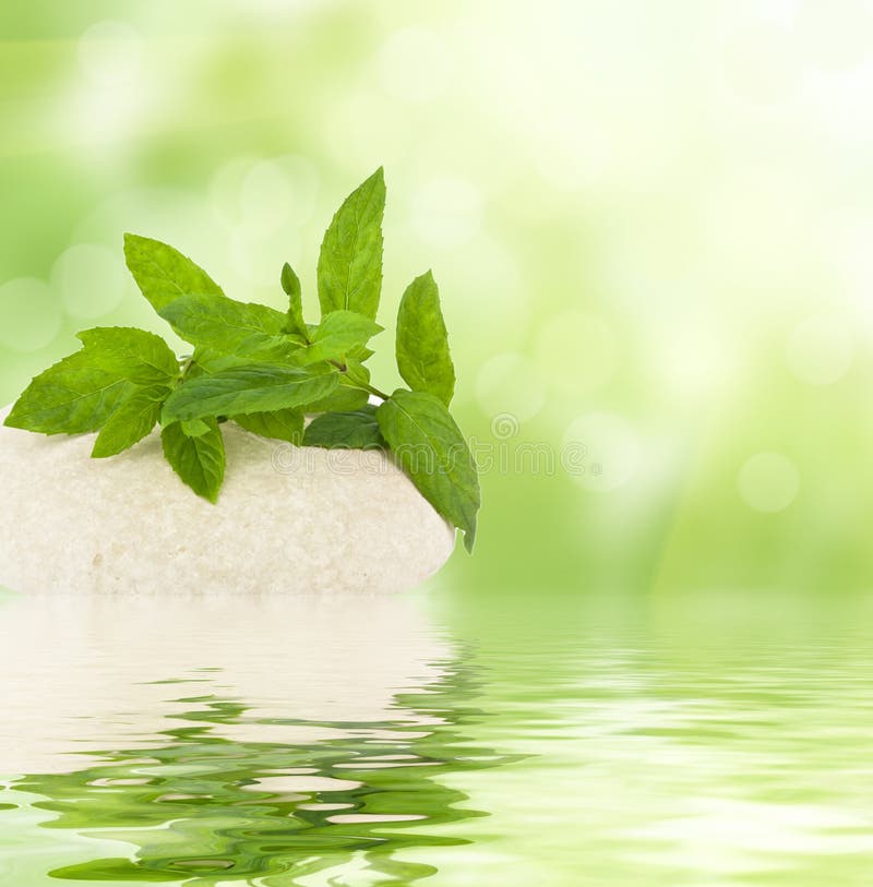 Spa stock photo. Image of heap, boulder, alternative - 25195610