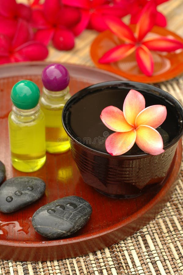 Tropical plumeria stock photo. Image of head, idyllic - 20578170