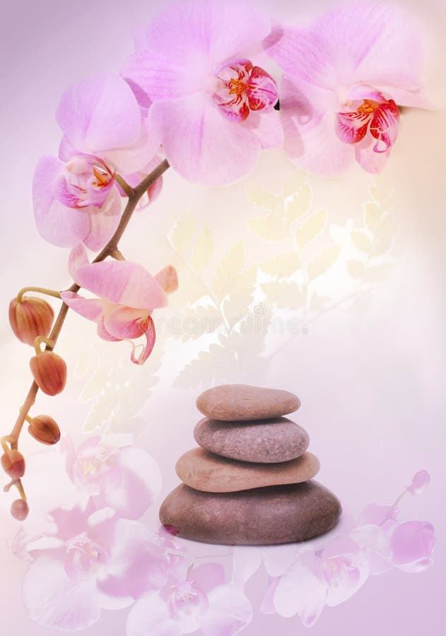 SPA background stock photo. Image of organic, orchid, ingredients - 4783400