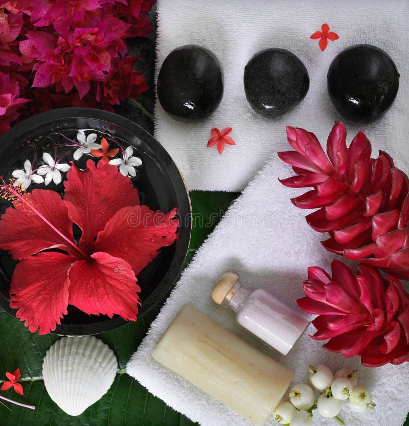 Spa beauty stock image. Image of starfish, coconut, nature - 7856949