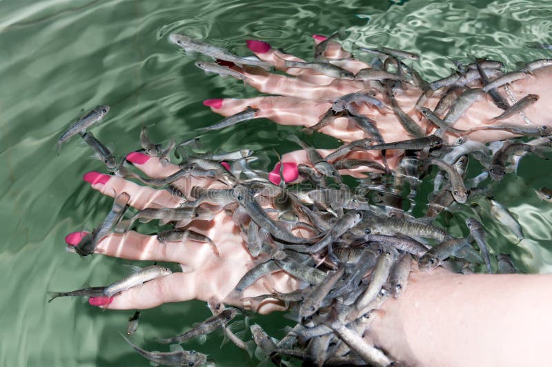 Spa Beauty Treatments of Hands and Fingers Stock Image - Image of ...