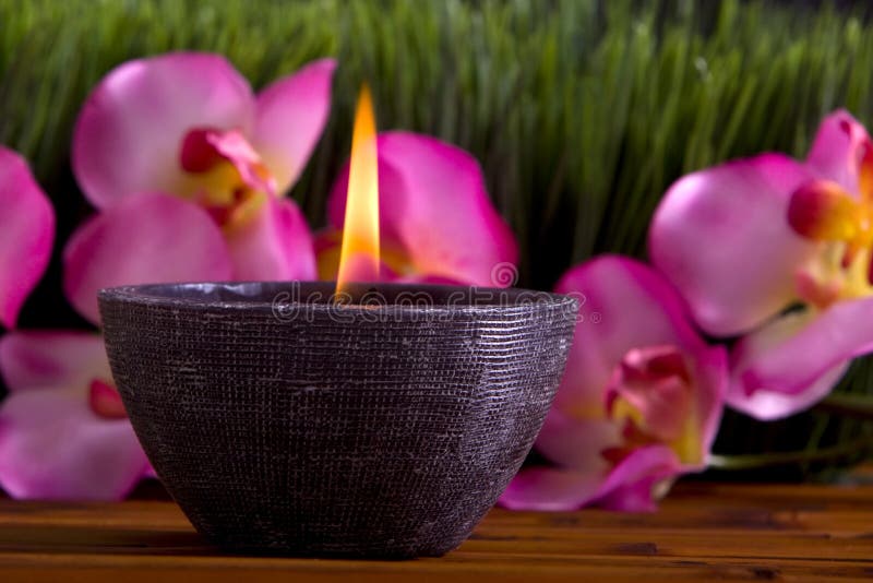 Wellness in old style stock image. Image of pink, beauty - 19427701