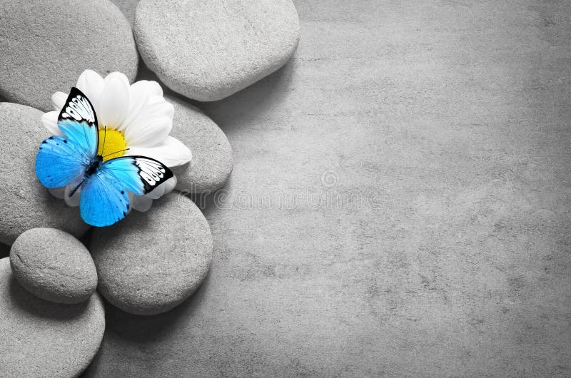 Spa Concept with Butterfly and Zen Stones. Stock Photo - Image of grey ...