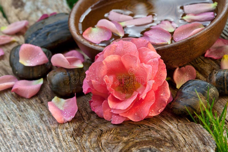 Spa Concept. Pink Flower with Zen Pebbles Stock Image - Image of ...