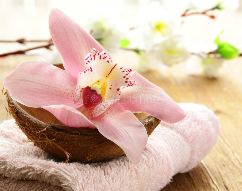 Spa concept - pink orchid stock photo. Image of massage - 29685174